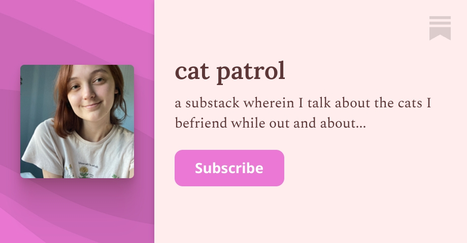 cat patrol | Substack