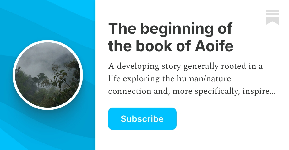The beginning of the book of Aoife | cat wanders through mountains | Substack