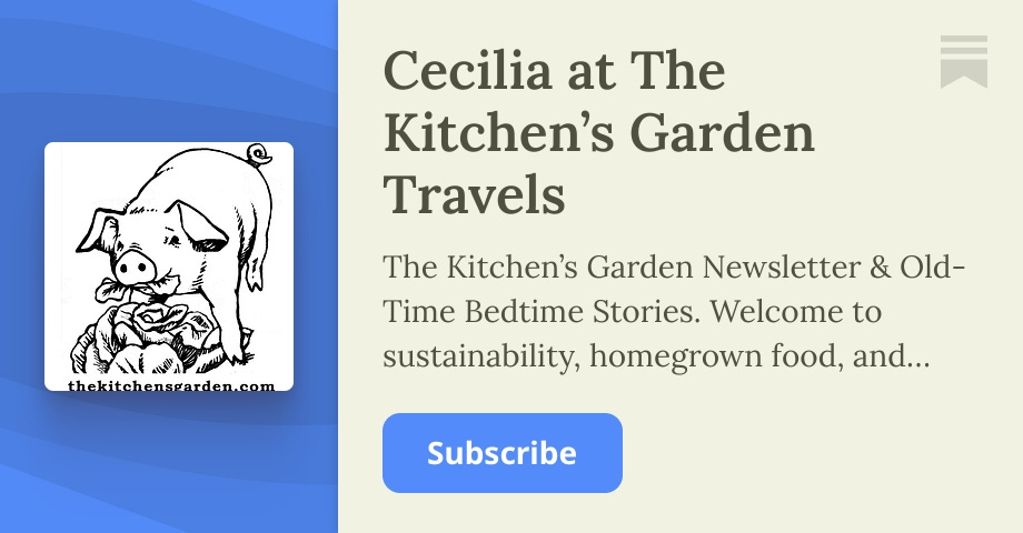 Cecilia at The Kitchen’s Garden Travels | Cecilia At The Kitchens Garden | Substack
