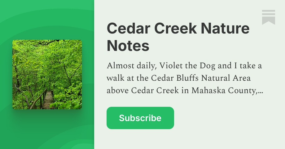 Cedar Creek Nature Notes | Robert Leonard | Substack