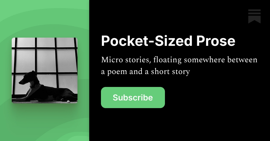Pocket-Sized Prose | Celia Rettenmaier | Substack