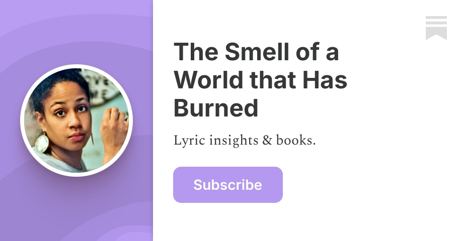 The Musket Barrel - by Chantal James