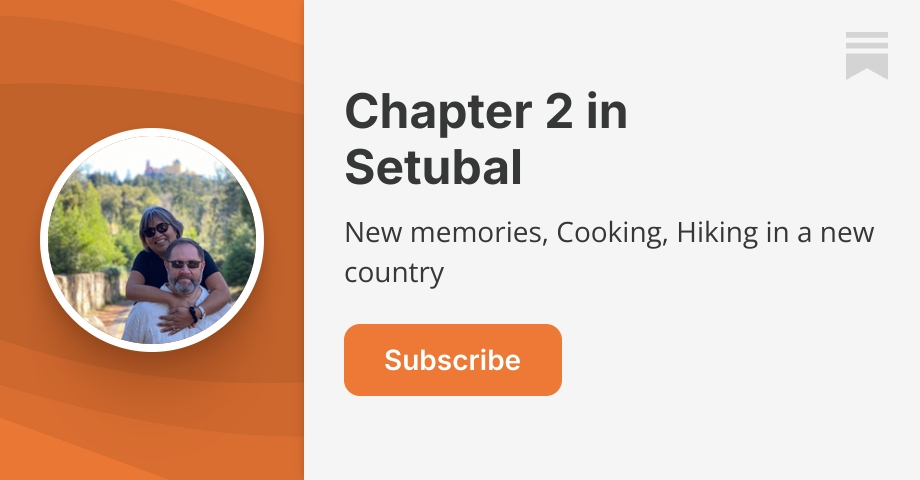 Chapter 2 in Setubal | Monica and Gavin | Substack