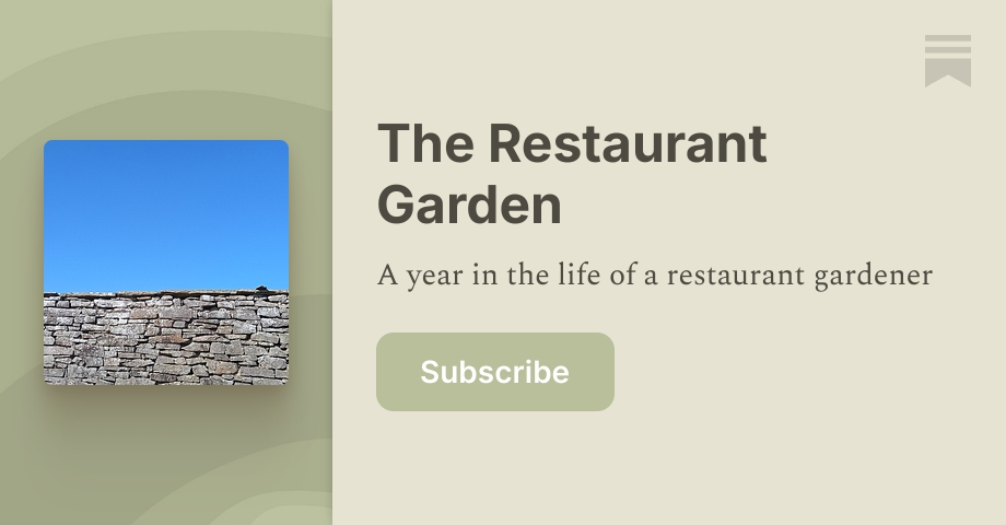 The Restaurant Garden | Chapters Hay-on-Wye | Substack