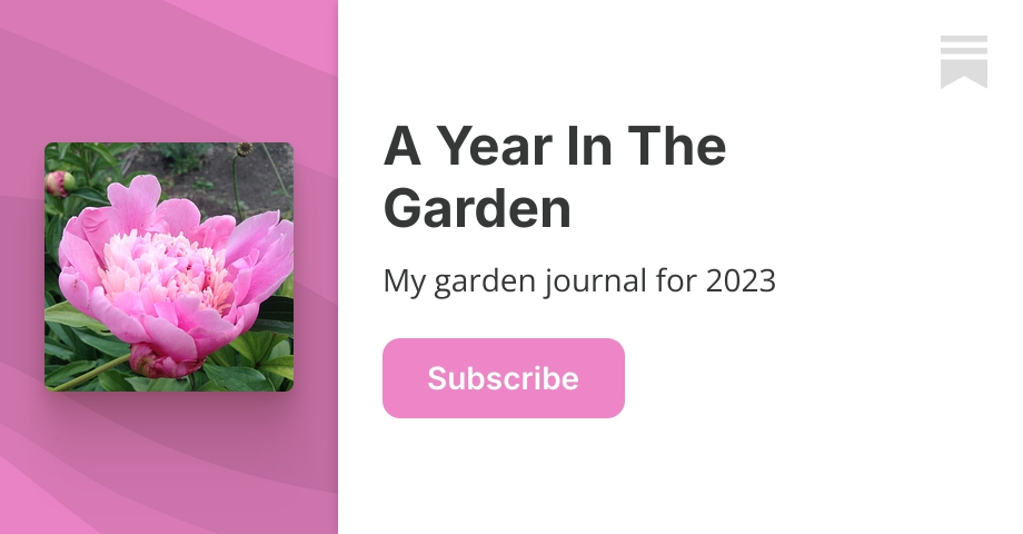 A Year In The Garden | Cheryl Croucher | Substack