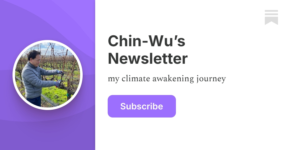 Chin-Wu’s Newsletter | Chin-Wu Chen | Substack