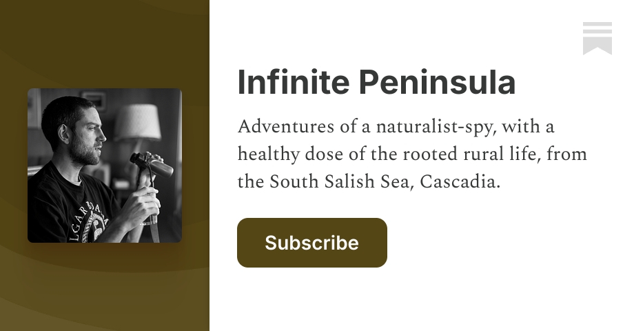 Infinite Peninsula | Chris Rurik | Substack