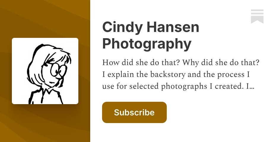Cindy Hansen Photography | Substack