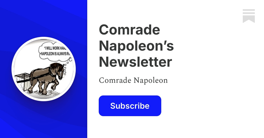 Comrade Napoleon’s Newsletter | Substack