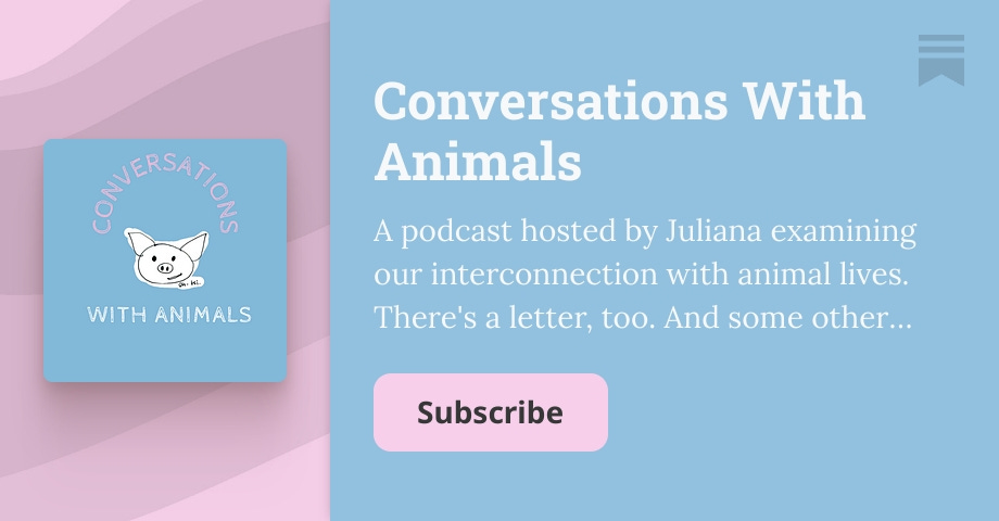Conversations With Animals | Juliana | Substack