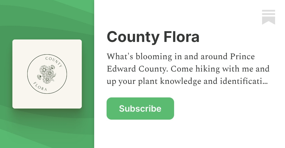 County Flora | Substack