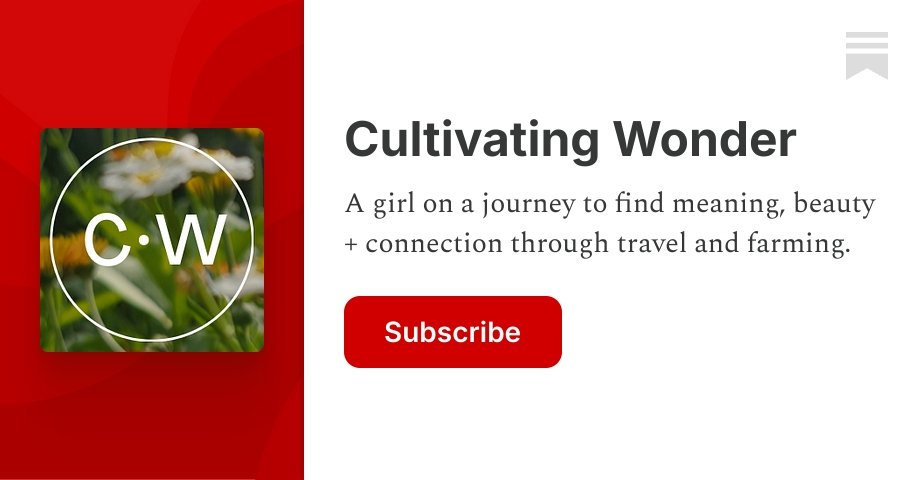 Cultivating Wonder | Callie Forsythe | Substack