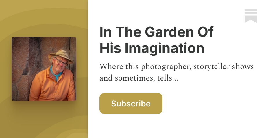 In The Garden Of His Imagination | David E. Perry | Substack