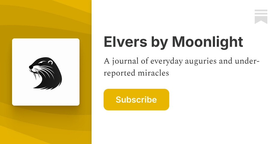 Elvers by Moonlight | David Knowles | Substack