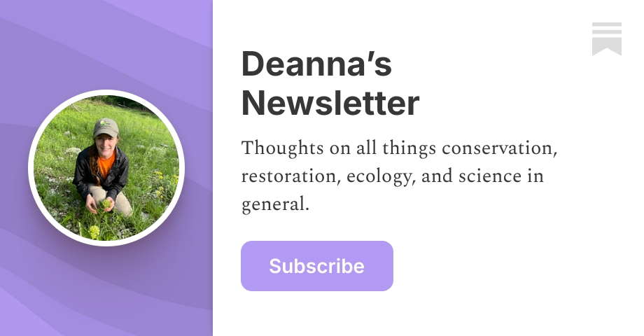 Deanna’s Newsletter | Deanna Deterding | Substack