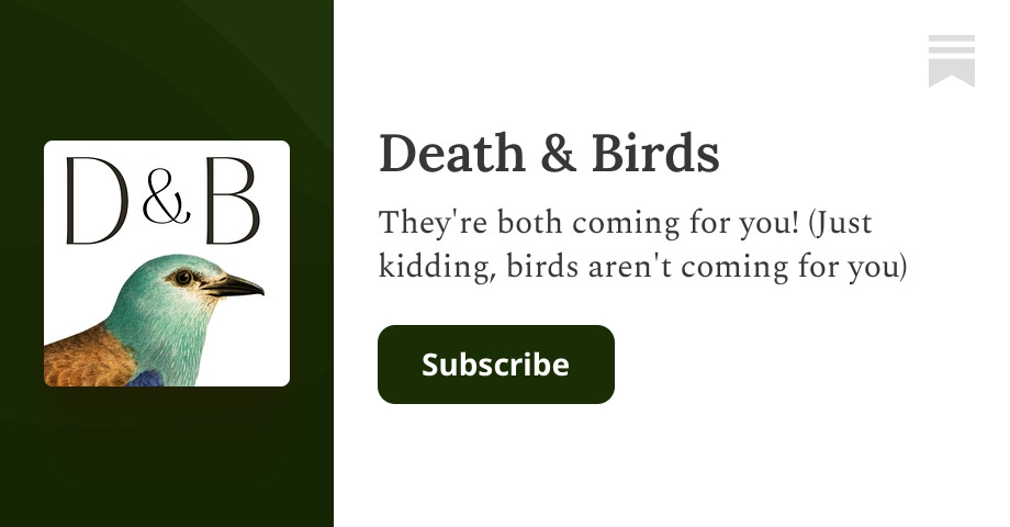 Death & Birds | Chloe Hope | Substack