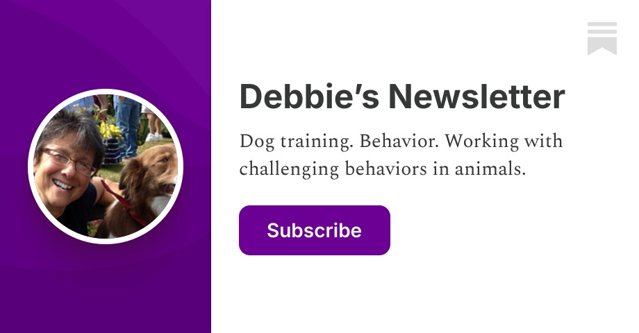 Debbie’s Newsletter | Debbie Jacobs | Substack