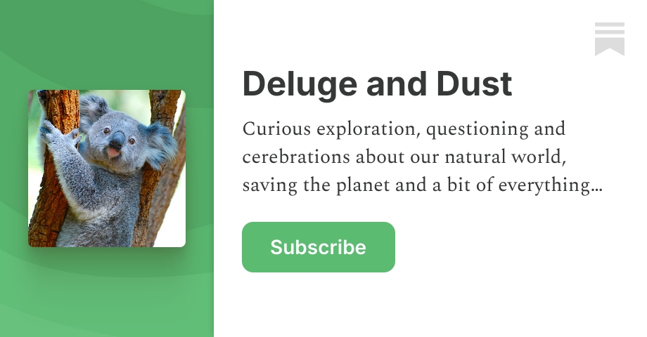 Deluge and Dust | Substack