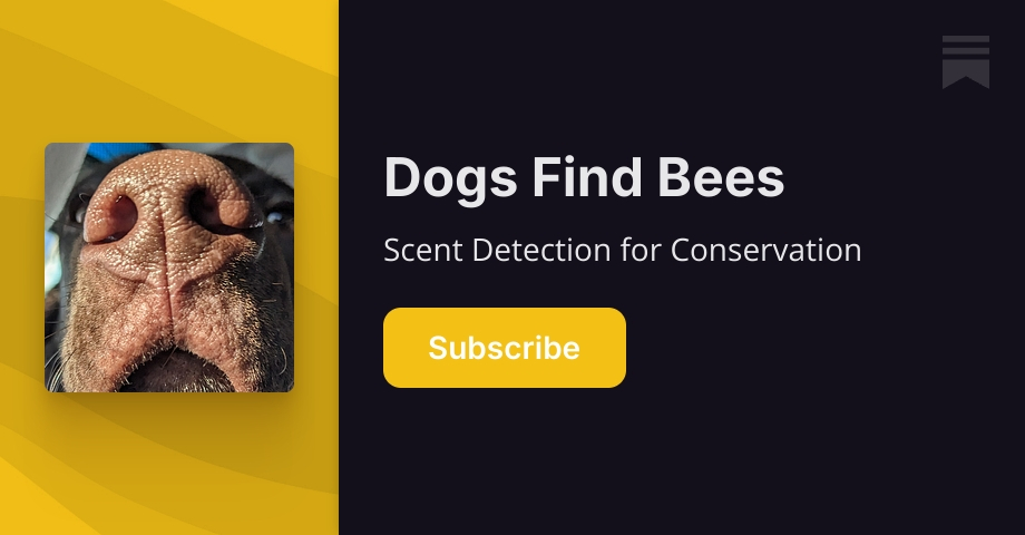 Dogs Find Bees | Rose-Anne Bouffard | Substack