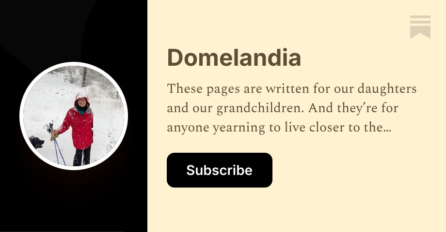 Domelandia | Sue | Substack