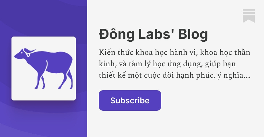 Đông Blog | Tien Pham | Substack