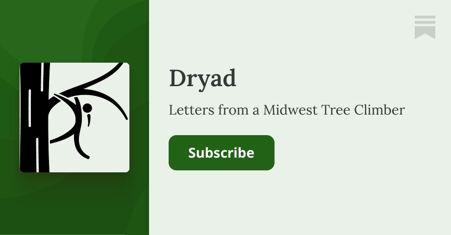 Dryad | Daniel P. Huffman | Substack