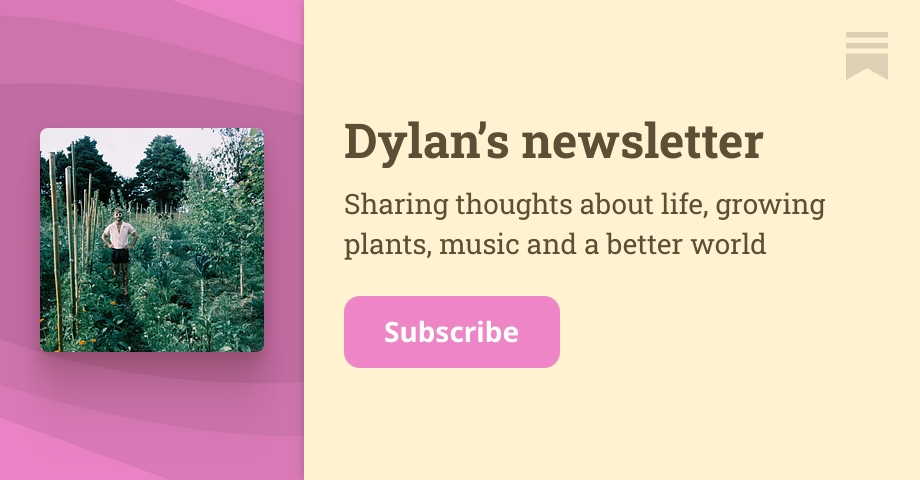 Dylan’s newsletter | Dylan Forde | Substack