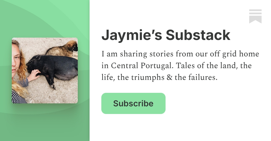 Jaymie’s Substack | eagle rock and the wolf | Substack