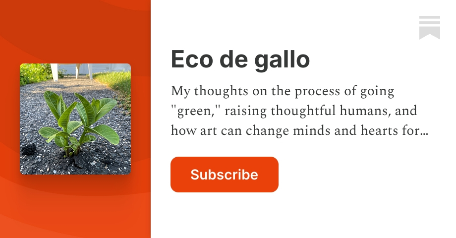 Eco de gallo | Hāna Kenny | Substack