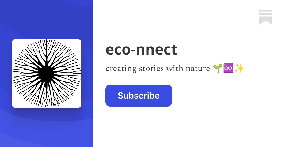 eco-nnect | Gaia Solaris | Substack
