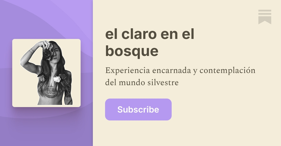 el claro en el bosque | Sandra - escritura encarnada | Substack