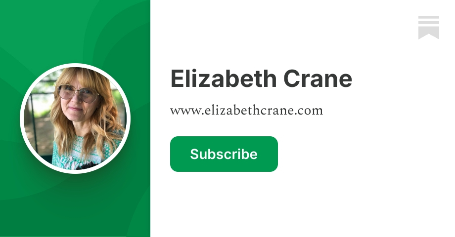 Elizabeth Crane | Substack