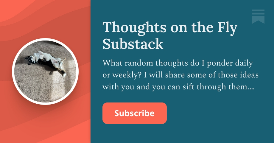 Opening Pandora's Box - Thoughts on the Fly Substack