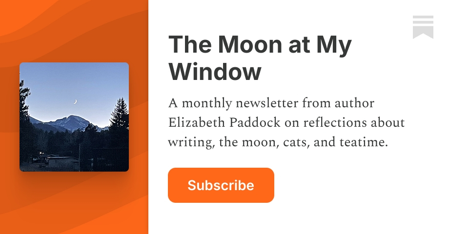 The Moon at My Window: Welcome - by Elizabeth Paddock