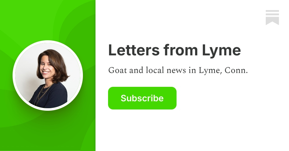 Letters from Lyme | Emily Rueb | Substack
