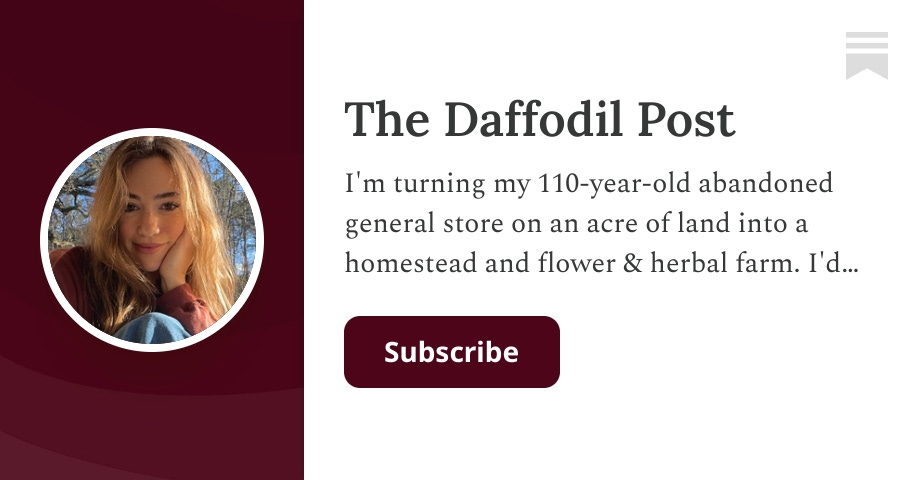 The Daffodil Post | Emma Shaye | Substack