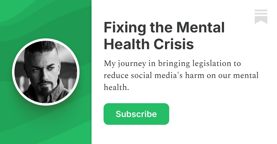 Fixing the Mental Health Crisis | Dan Seider | Substack