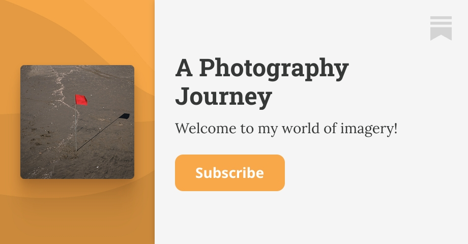 A Photography Journey | Eduardo Ortiz | Substack