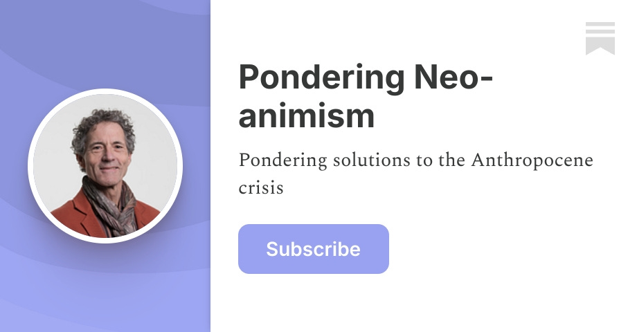 Pondering Neo-animism | Eric Arnould | Substack