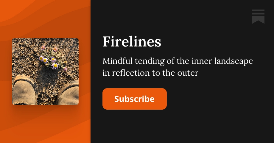 Duty, Integrity, Respect - by Lucyanna Labadie - Firelines