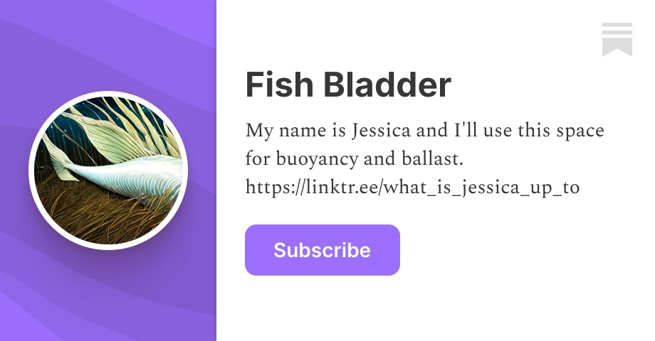 Why Fish Bladder - by Jessica - Fish Bladder