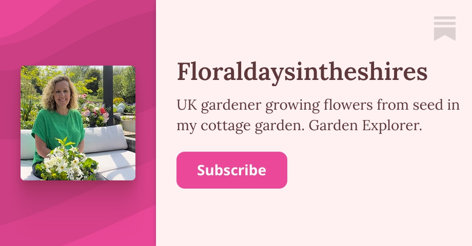 Floraldaysintheshires | Sophie van Gerwen | Substack