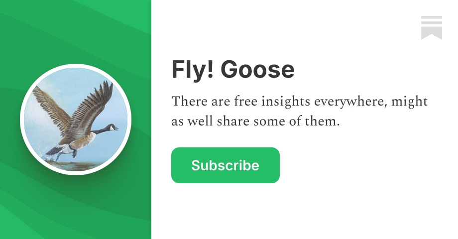 How to Be Social - Fly! Goose