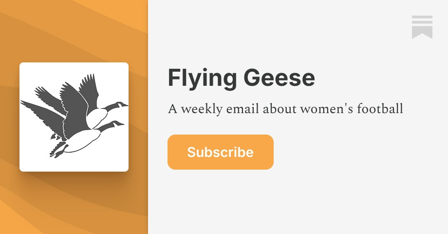 Flying Geese | Jessy Parker Humphreys | Substack