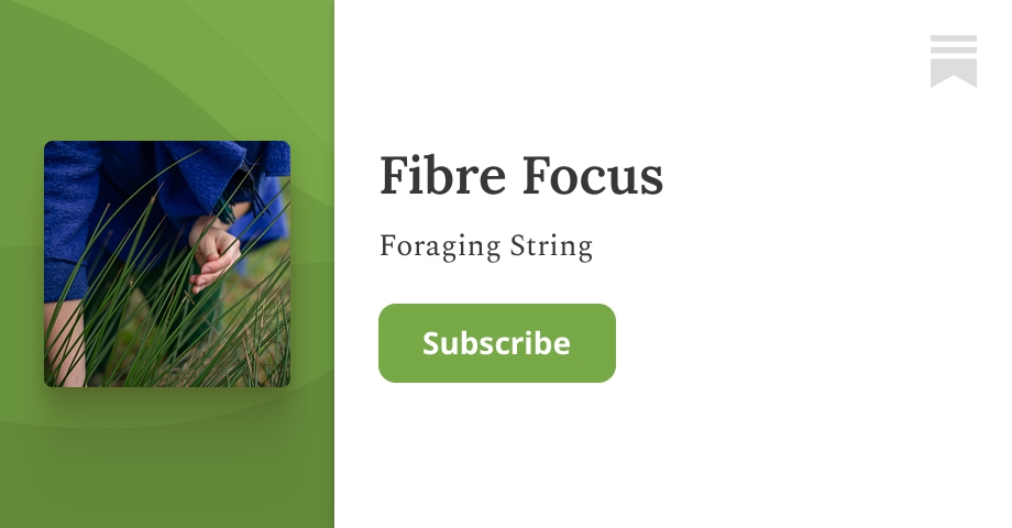 Fibre Focus | Hanna Varga | Substack