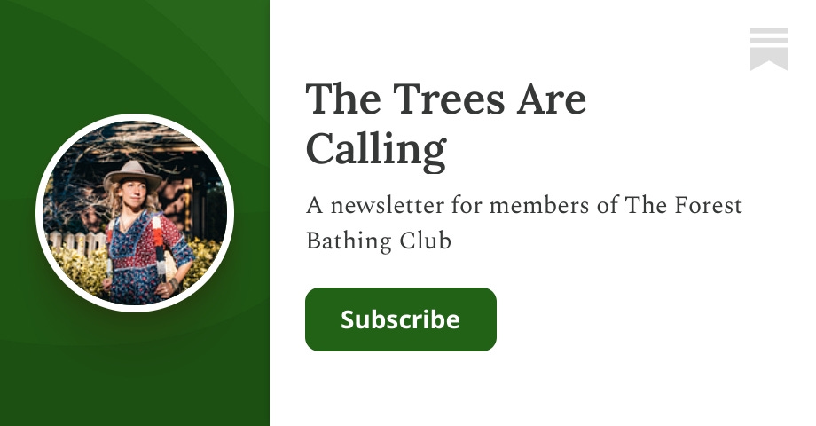 The Trees Are Calling | Julia Plevin Oliansky | Substack
