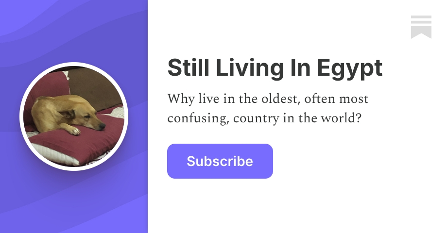 Still Living In Egypt | Maryanne Stroud Gabbani | Substack