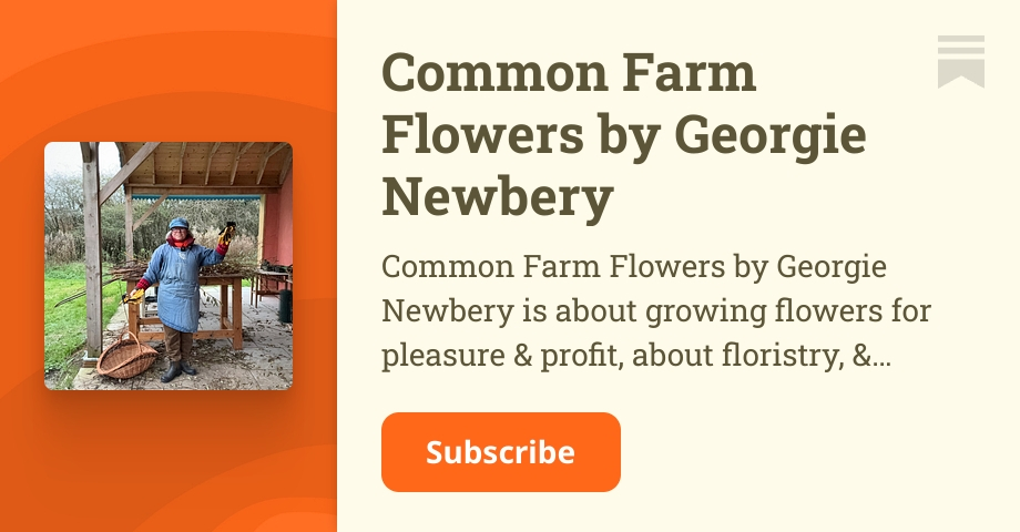 Common Farm Flowers by Georgie Newbery | Substack