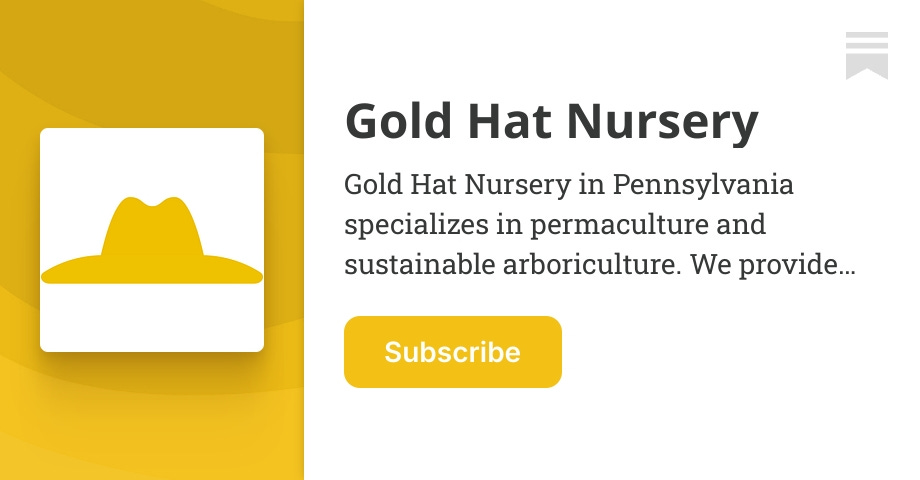 Gold Hat Nursery | Substack