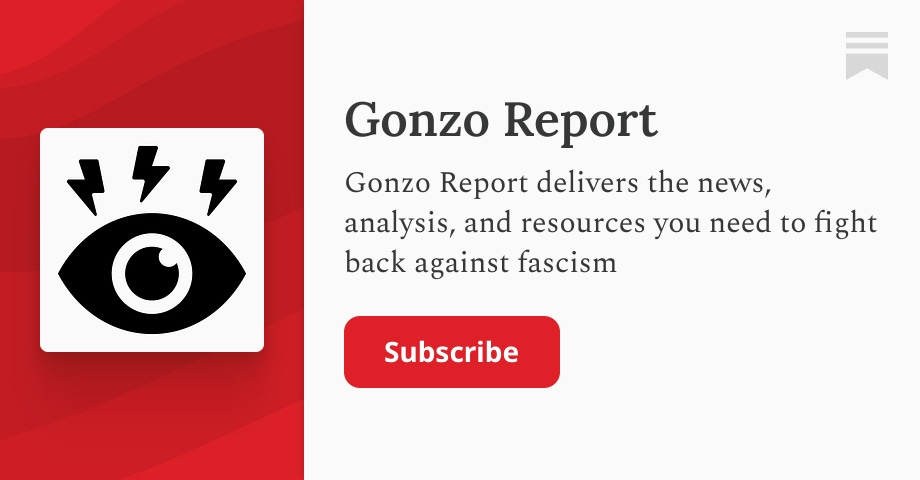 Gonzo Report | Chris Zappa | Substack